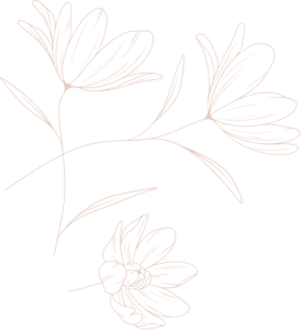 Sol Aesthetic and Wellness Centre in Raleigh